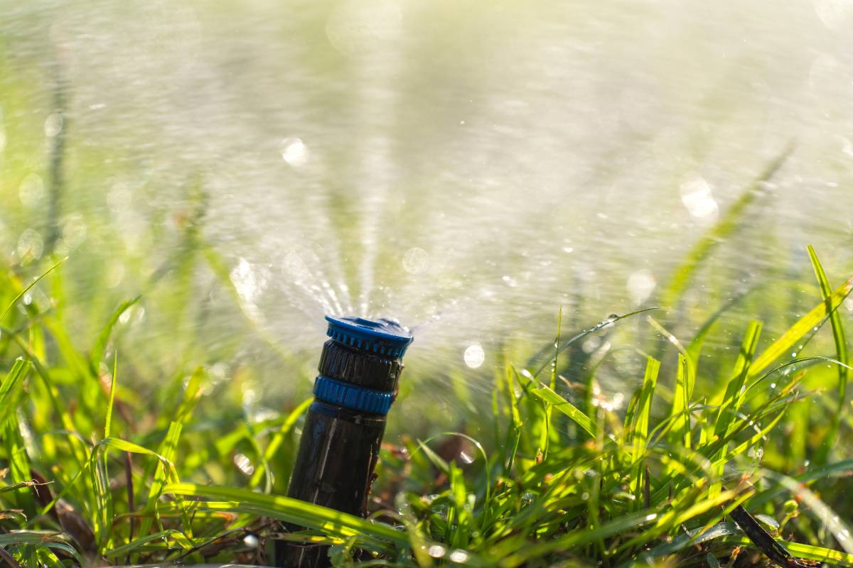 6 Fall Irrigation Checklist for Corpus Christi Landscapes - Justice Inc.